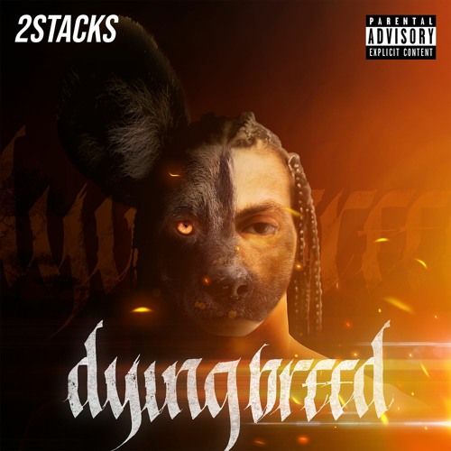 Stream 2 Stacks music | Listen to songs, albums, playlists for free on ...