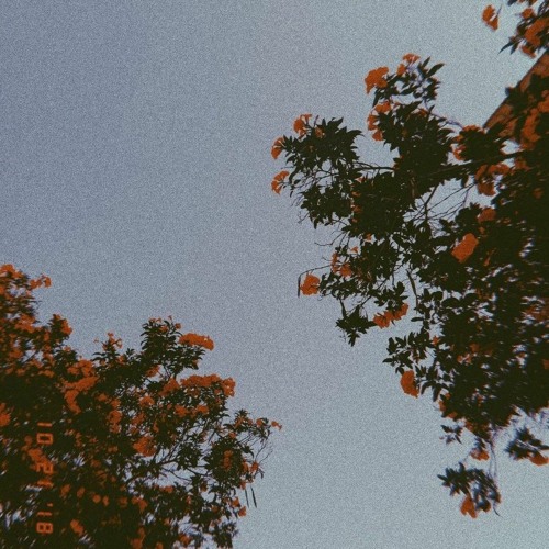 Stream Nada M emara music | Listen to songs, albums, playlists for free ...