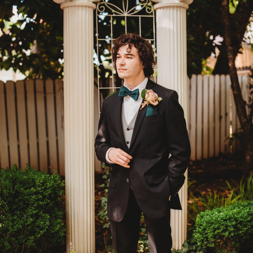 Stream Matthew Howell Music | Listen to The Jungle as an Art Form ...