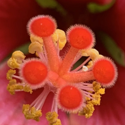 Stream Ellie Collett music | Listen to songs, albums, playlists for ...