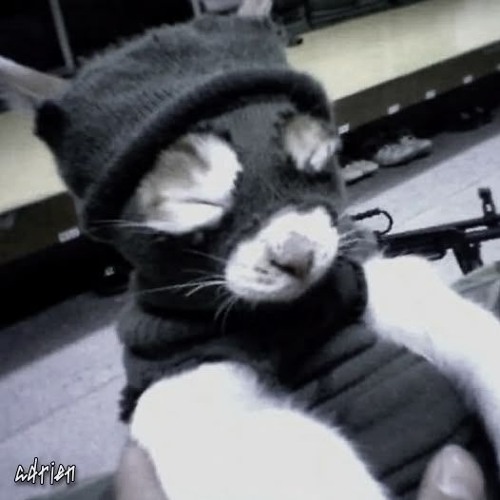 Stream Niko (Single) music | Listen to songs, albums, playlists for ...