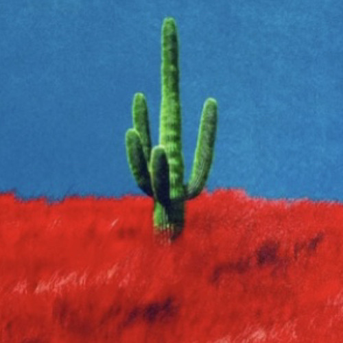 Stream Brandon Kang music | Listen to songs, albums, playlists for free ...