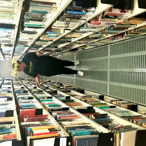 Stream SharDizzle music | Listen to songs, albums, playlists for free ...