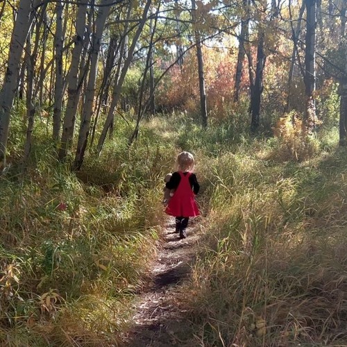 Stream SJNB_Poesy music | Listen to songs, albums, playlists for free ...