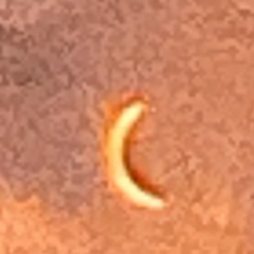 Stream Jacob Tavarez music | Listen to songs, albums, playlists for ...