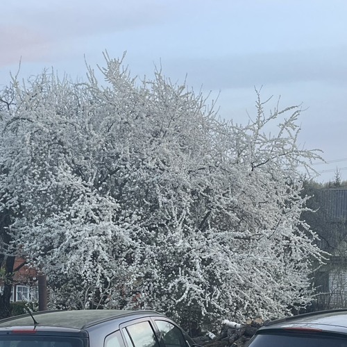 Stream haiman🙂🙃 music | Listen to songs, albums, playlists for free on ...