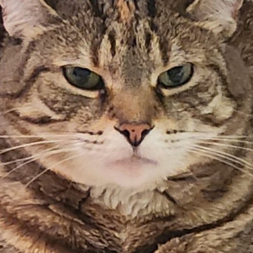 Stream Andy2024 | Listen to JAKE SHAKE playlist online for free on ...