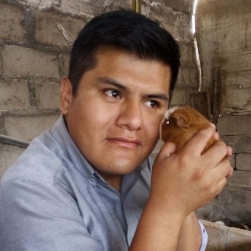 Stream José puma music | Listen to songs, albums, playlists for free on ...