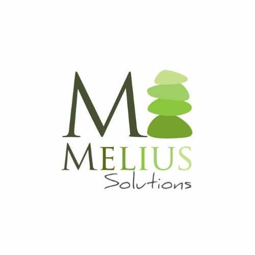 Stream Melius Solutions | Listen to podcast episodes online for free on SoundCloud