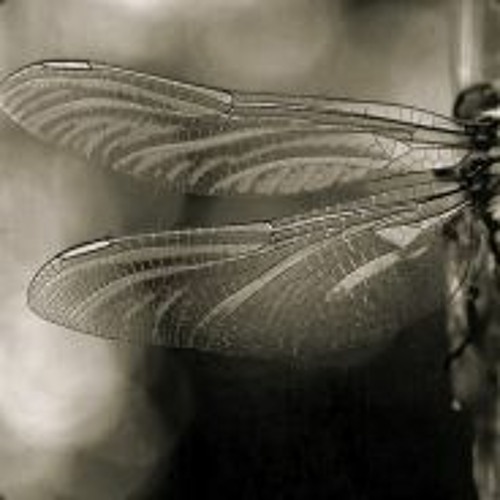 Stream Helen Brooker music | Listen to songs, albums, playlists for ...