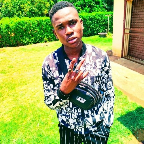 Stream Wippy Altree music | Listen to songs, albums, playlists for free ...