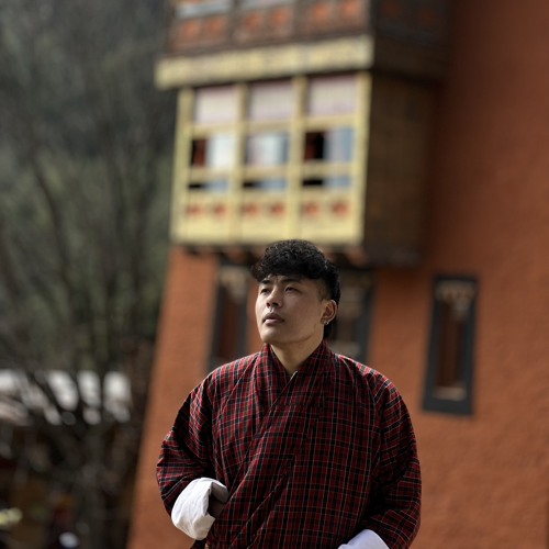 Stream Mr Sangayy music | Listen to songs, albums, playlists for free ...