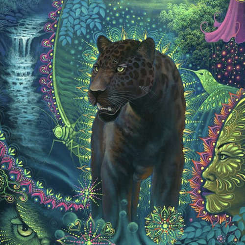 Stream Summer Jade Dennison music | Listen to songs, albums, playlists ...