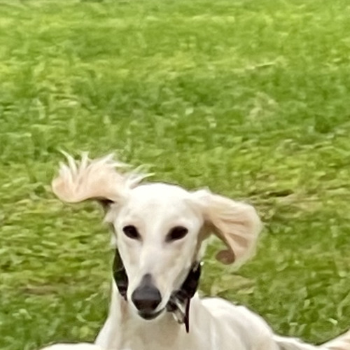 Stream cooper foster music | Listen to songs, albums, playlists for ...