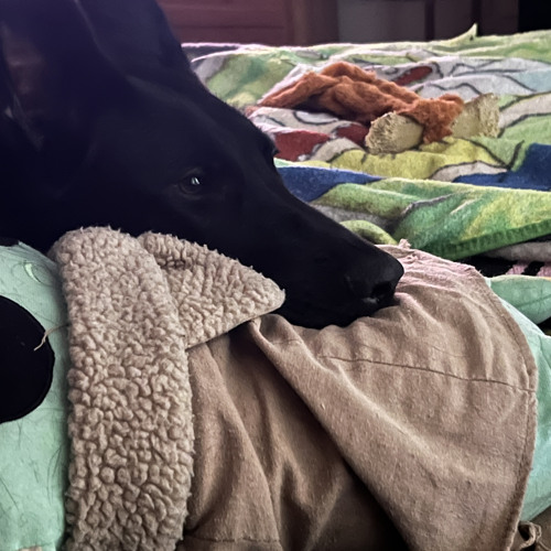 Stream Nicholas Vernon music | Listen to songs, albums, playlists for ...