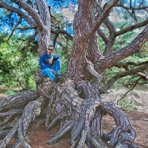 Stream John de Groot music | Listen to songs, albums, playlists for ...