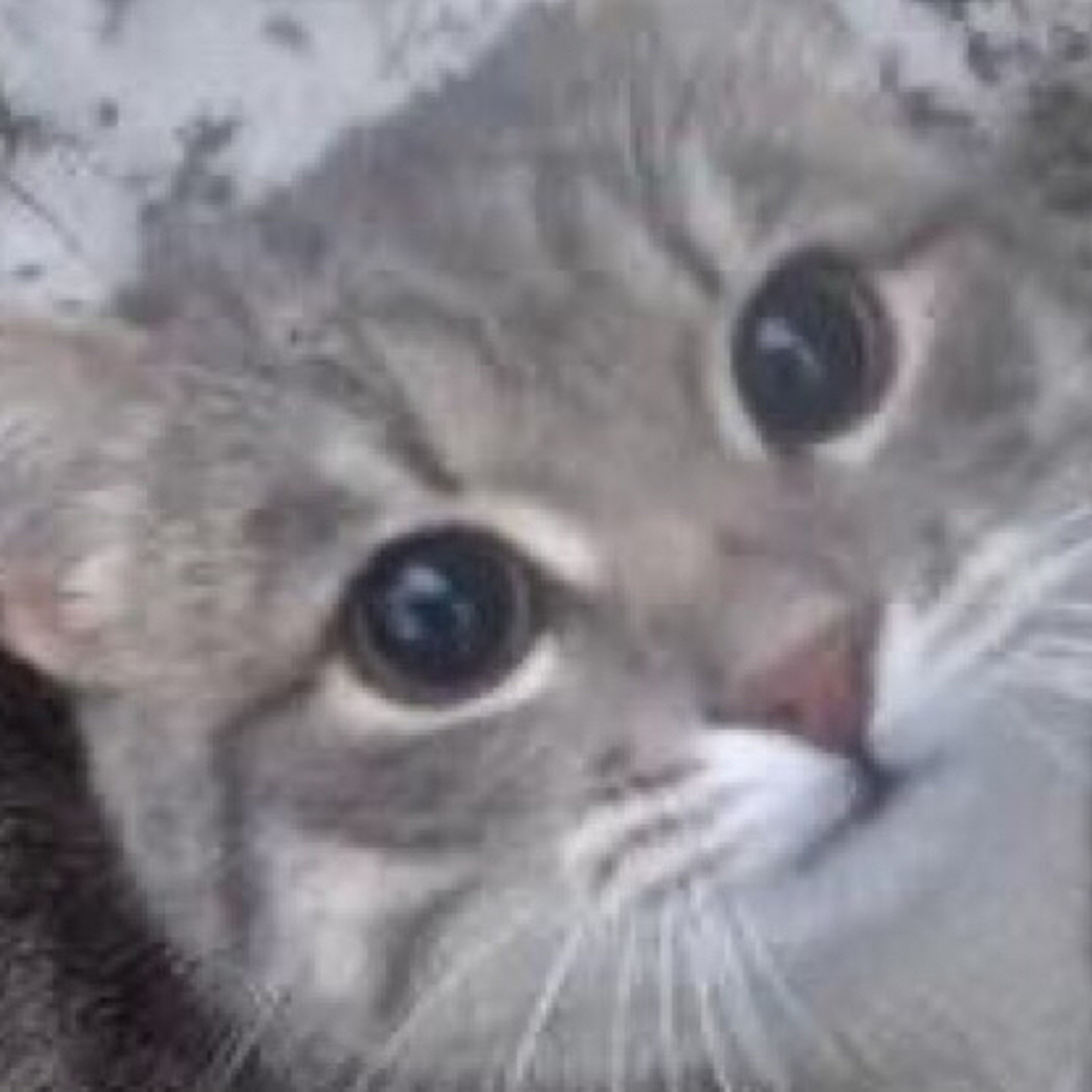 Stream Golden Land V3 (FULL LEAK) - FNF Mario's Madness OST by ...