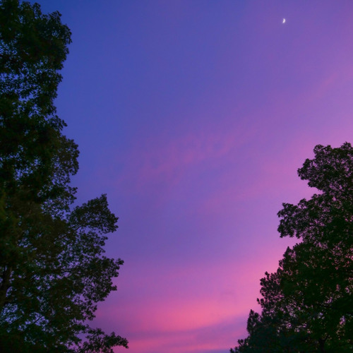 Stream DJ Johnny B music | Listen to songs, albums, playlists for free ...