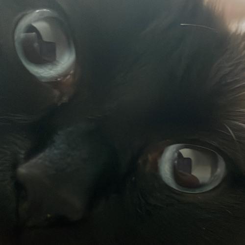 Stream ur mom 123 music | Listen to songs, albums, playlists for free ...