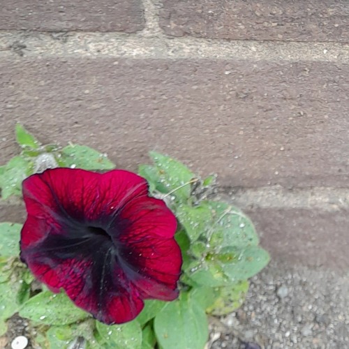 Stream aadam music | Listen to songs, albums, playlists for free on ...