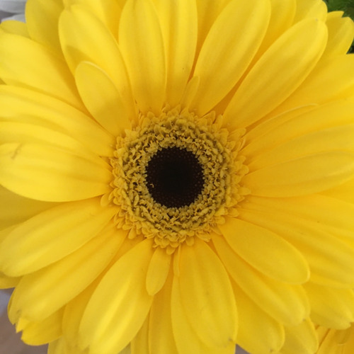 Stream Aleah music | Listen to songs, albums, playlists for free on ...