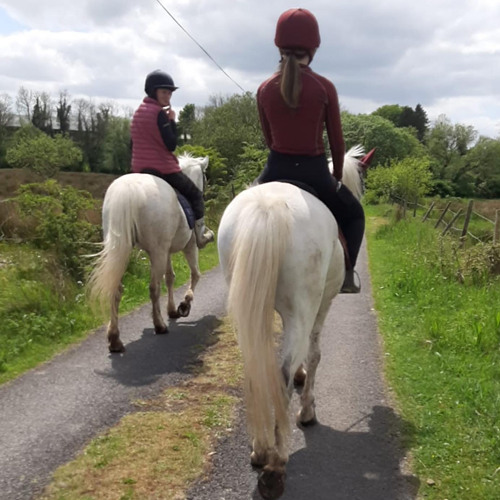 Stream Maria Murray music | Listen to songs, albums, playlists for free ...