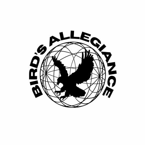 Stream bird's allegiance! music | Listen to songs, albums, playlists ...