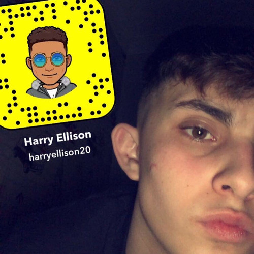 Stream Harry Ellison music | Listen to songs, albums, playlists for ...