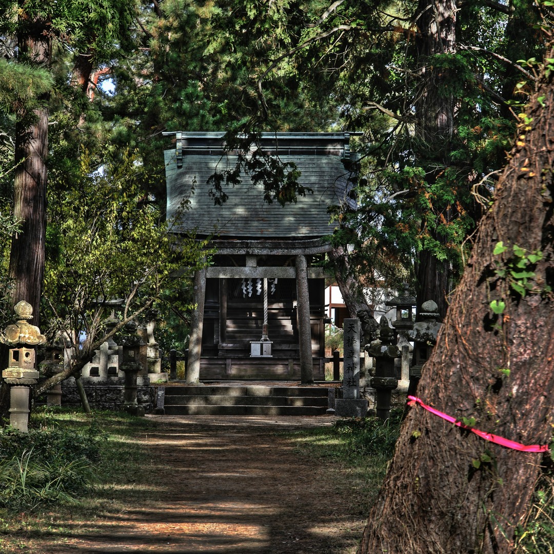 Stream bamboo leaf by waveform delay | Listen online for free on SoundCloud