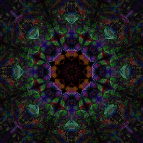 Stream Fox-zilla music | Listen to songs, albums, playlists for free on ...