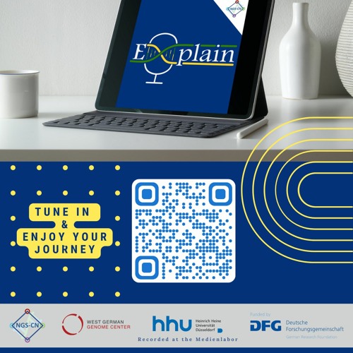 Stream Podcast.explain | Listen to podcast episodes online for free on ...