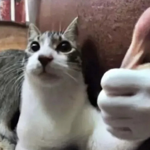 Stream DJ Rizzler music | Listen to songs, albums, playlists for free ...