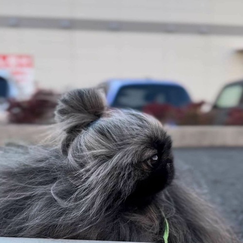 Stream we are on the battle bus by JIGABOO JOE | Listen online for free ...