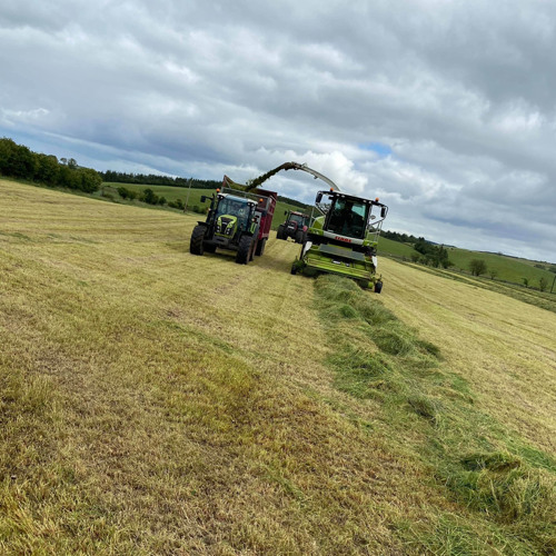 Stream logan_ross567 music | Listen to songs, albums, playlists for ...