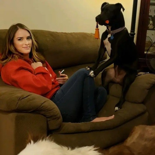 Stream Stephanie Veshka music | Listen to songs, albums, playlists for ...