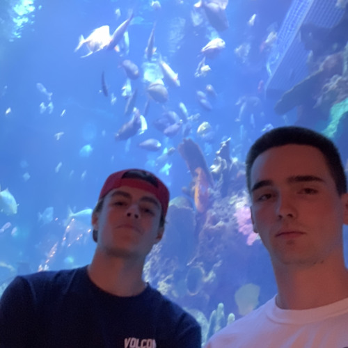 Stream dylanrapp music | Listen to songs, albums, playlists for free on ...