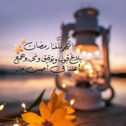 Stream Asmaa Sobhy Azab music | Listen to songs, albums, playlists for ...