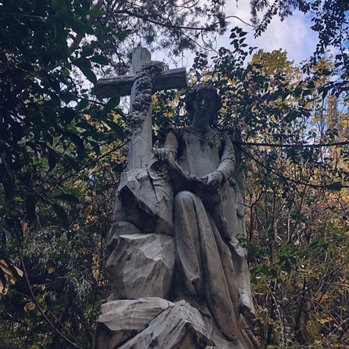 Stream Joe Nassar music | Listen to songs, albums, playlists for free ...