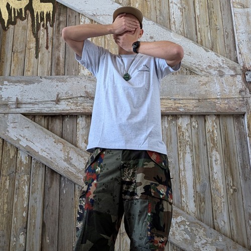 Stream COIN BANKS music | Listen to songs, albums, playlists for free ...