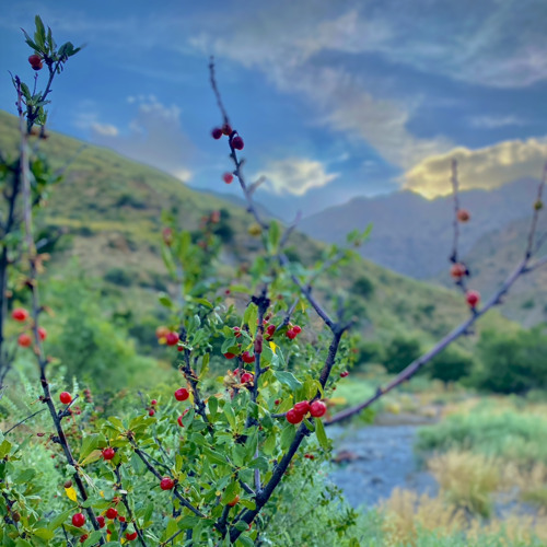 Stream Saad Baloch music | Listen to songs, albums, playlists for free ...