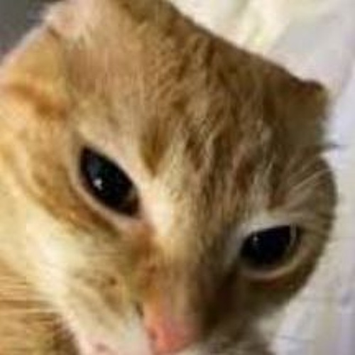 Stream Jennifer Campeau music | Listen to songs, albums, playlists for ...