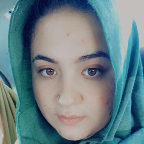 Stream Zainab Tarakay music | Listen to songs, albums, playlists for ...