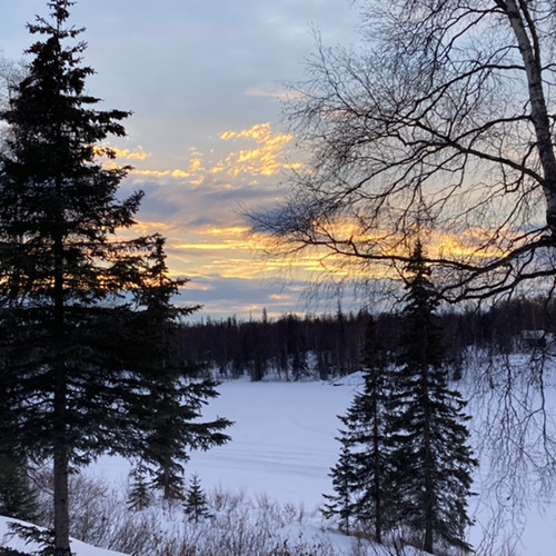 Stream Amonte Dowl music | Listen to songs, albums, playlists for free ...