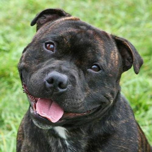 Stream Angelica Lindgren Grip music | Listen to songs, albums ...