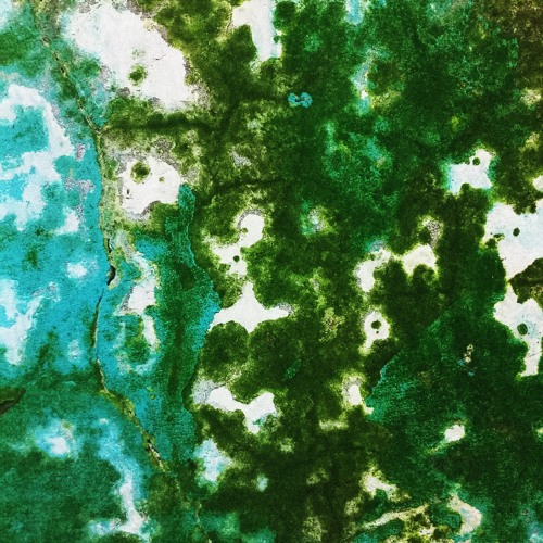 Stream The Raimon music | Listen to songs, albums, playlists for free ...