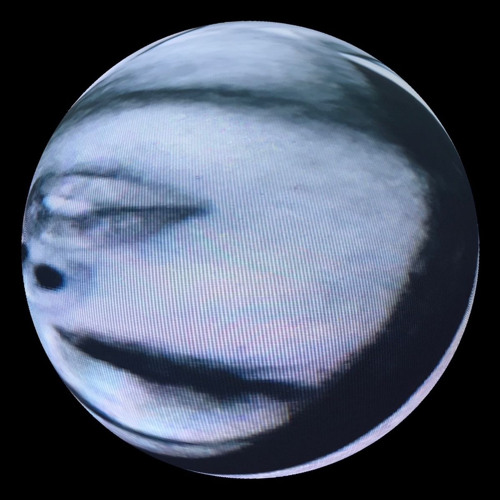 Stream 𝙅MADNESS music | Listen to songs, albums, playlists for free on ...