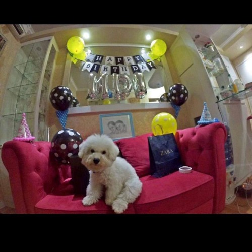 Stream Ntt Tar music | Listen to songs, albums, playlists for free on ...