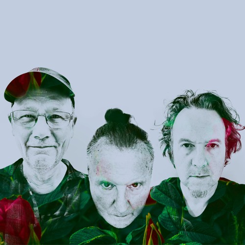Stream This Questionable Life music | Listen to songs, albums ...