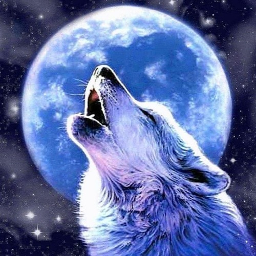 Stream frosty music | Listen to songs, albums, playlists for free on ...