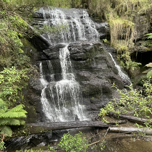 Stream Max Harrison music | Listen to songs, albums, playlists for free ...